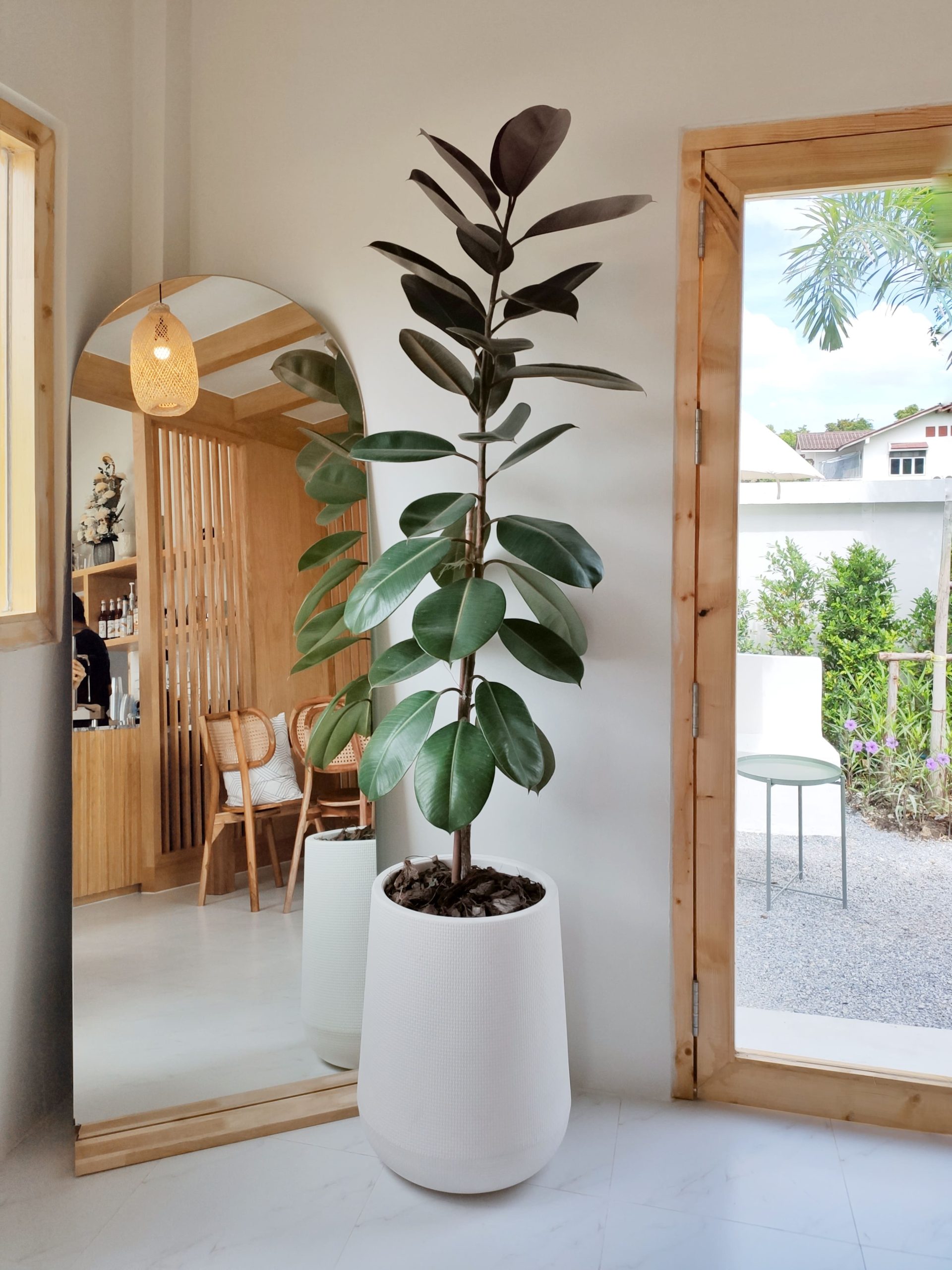 Indoor Plant Decor Ideas To Style Your Apartment
