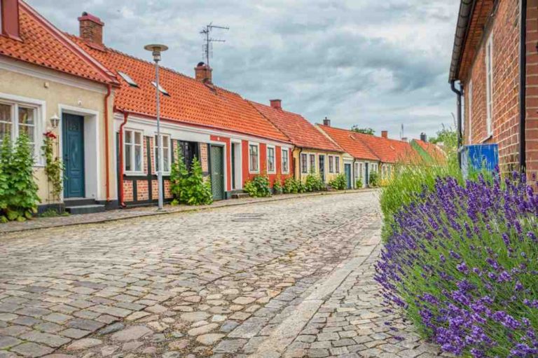What Is a Row House? Meaning, Features & Types